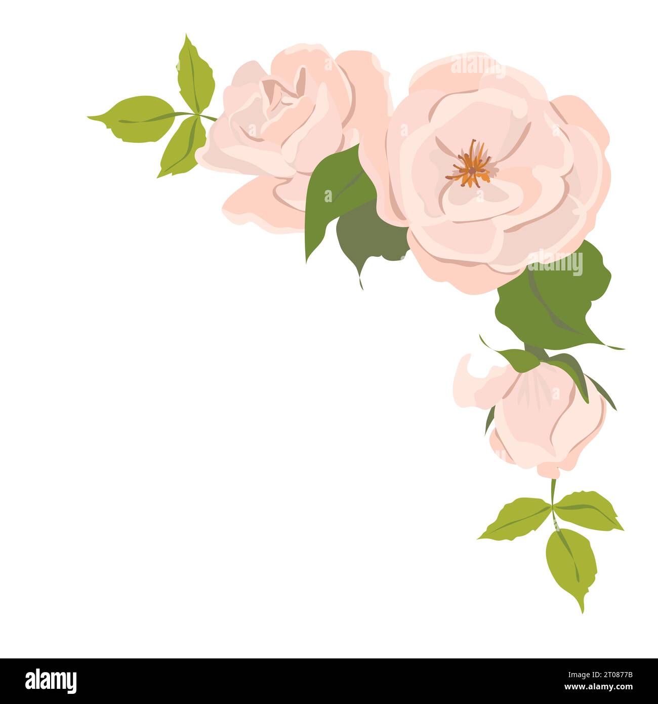 Rose flower vector bouquet, corner composition, design element isolated ...