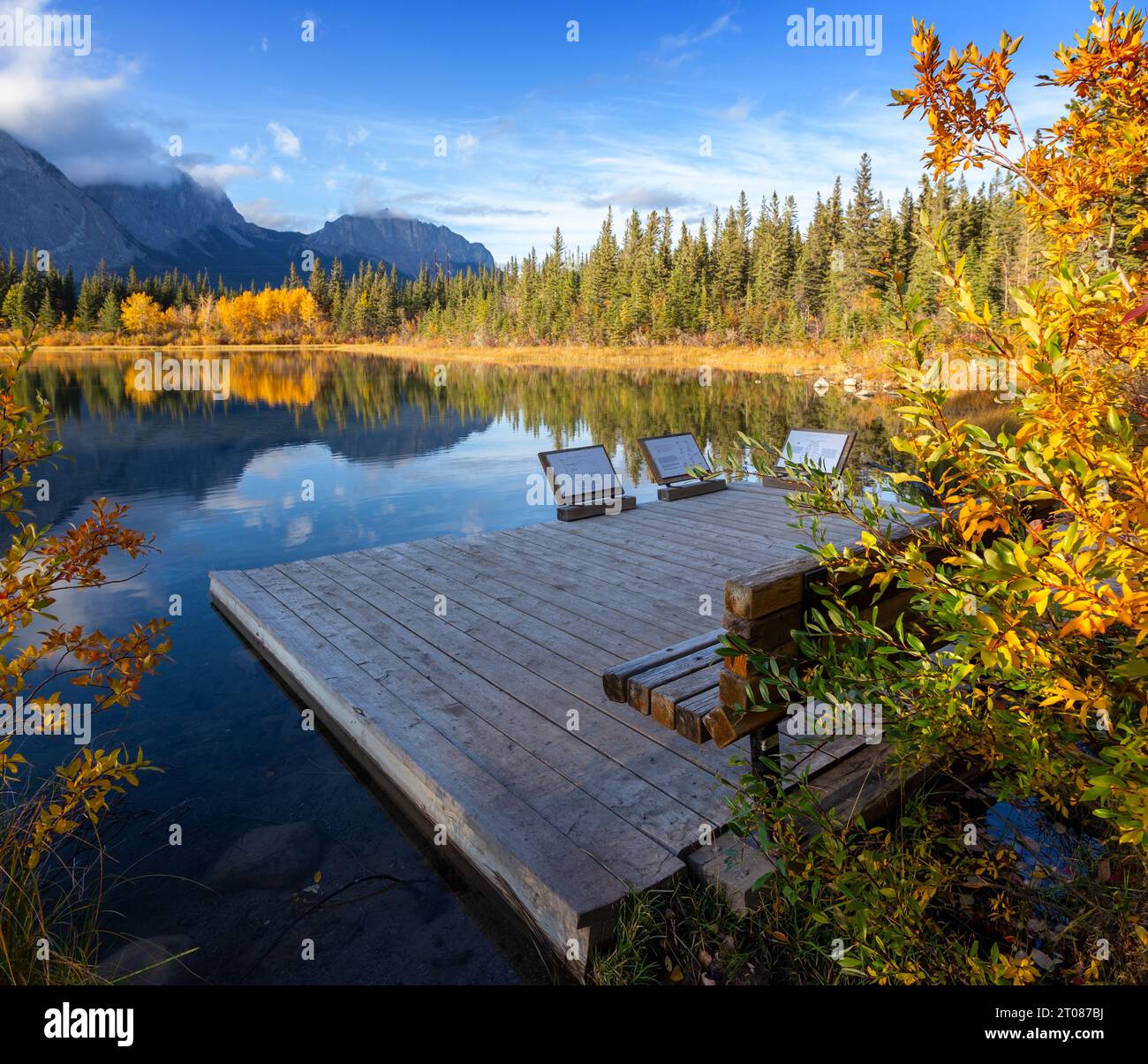 Autumn Leaves Fall Colors Change. Scenic Alberta Foothills Landscape ...