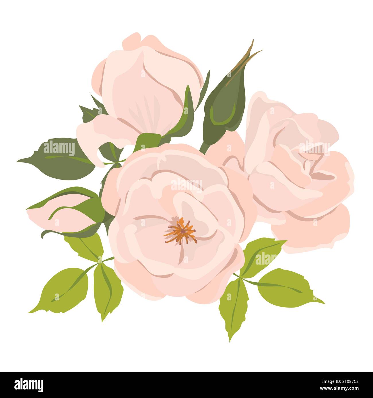 Rose flower vector bouquet, design element isolated on white background ...