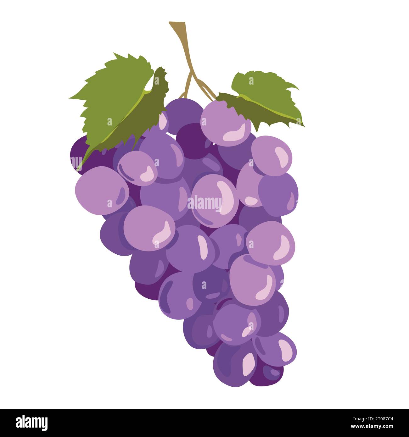 Ripe cabernet grapes Stock Vector Images - Alamy