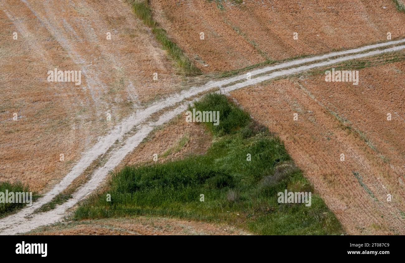 Agriculture farmland fields in summer. Rural road crossing meadow land ...