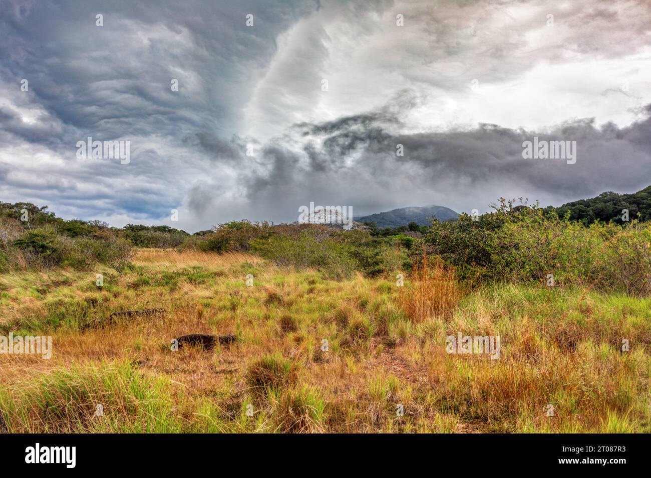 Landscape of the Rincon de La Vieja Volcano and National Park in ...