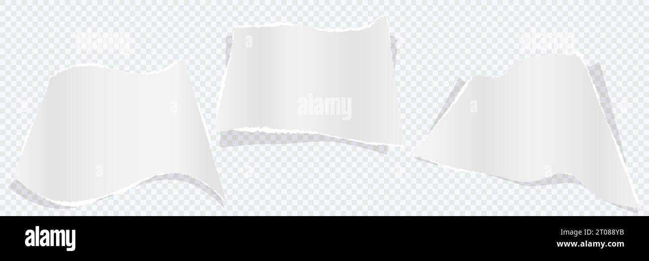 White torn paper rip pieces with torn adges and soft shadow. Blank ...
