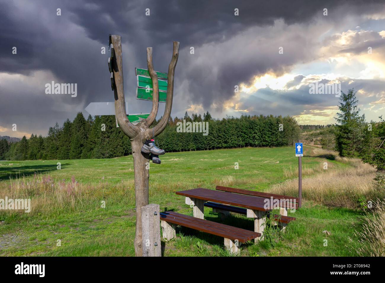Forest background area background hi-res stock photography and images ...