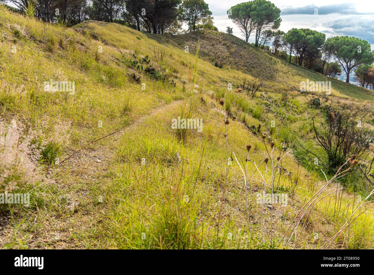 Sentiero natura hi-res stock photography and images - Alamy