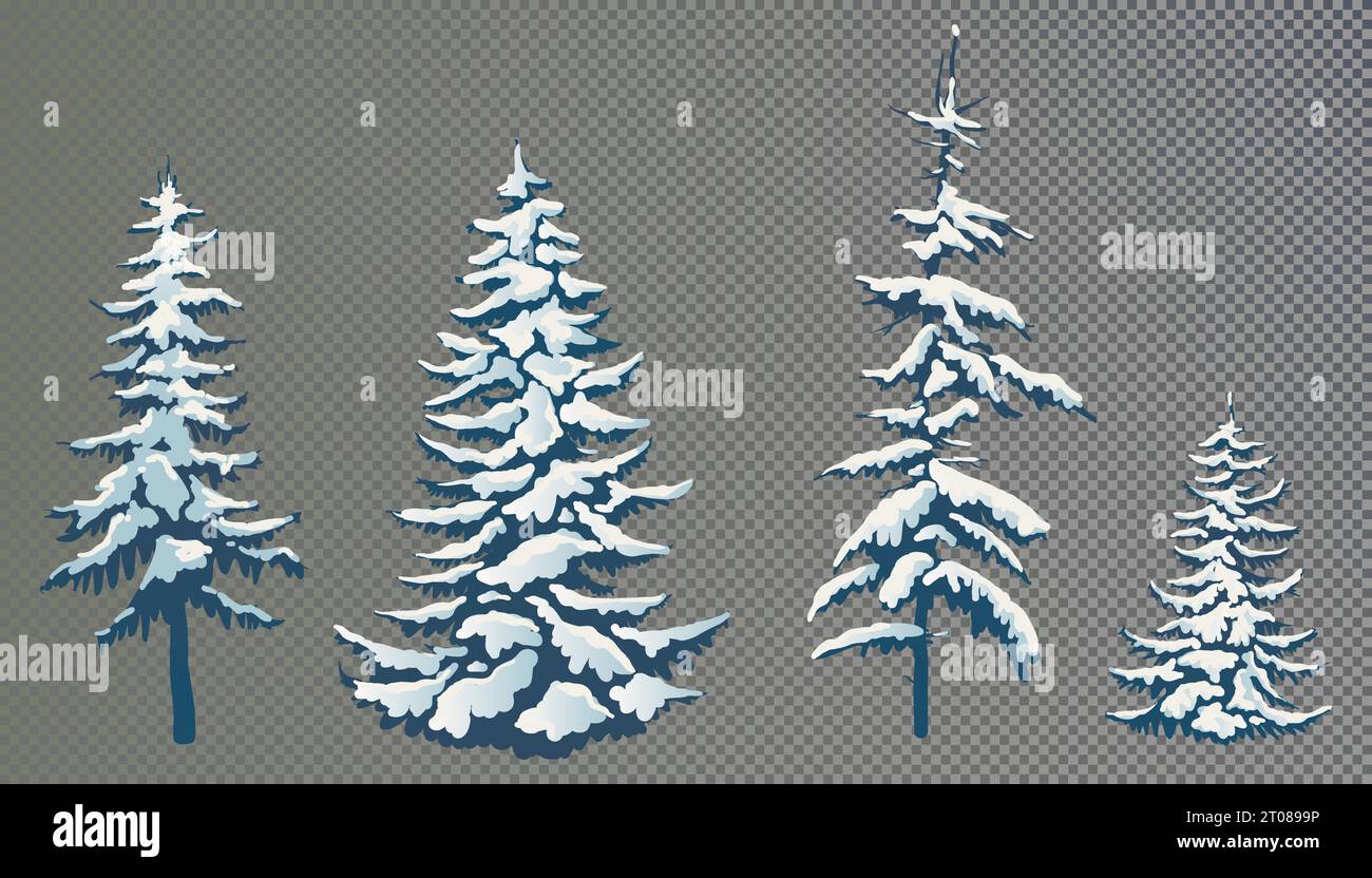 Realistic vector illustration of a spruce tree in the snow on a ...