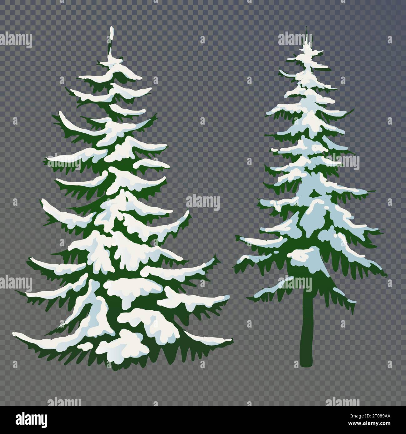 Realistic vector illustration of a spruce tree in the snow on a ...