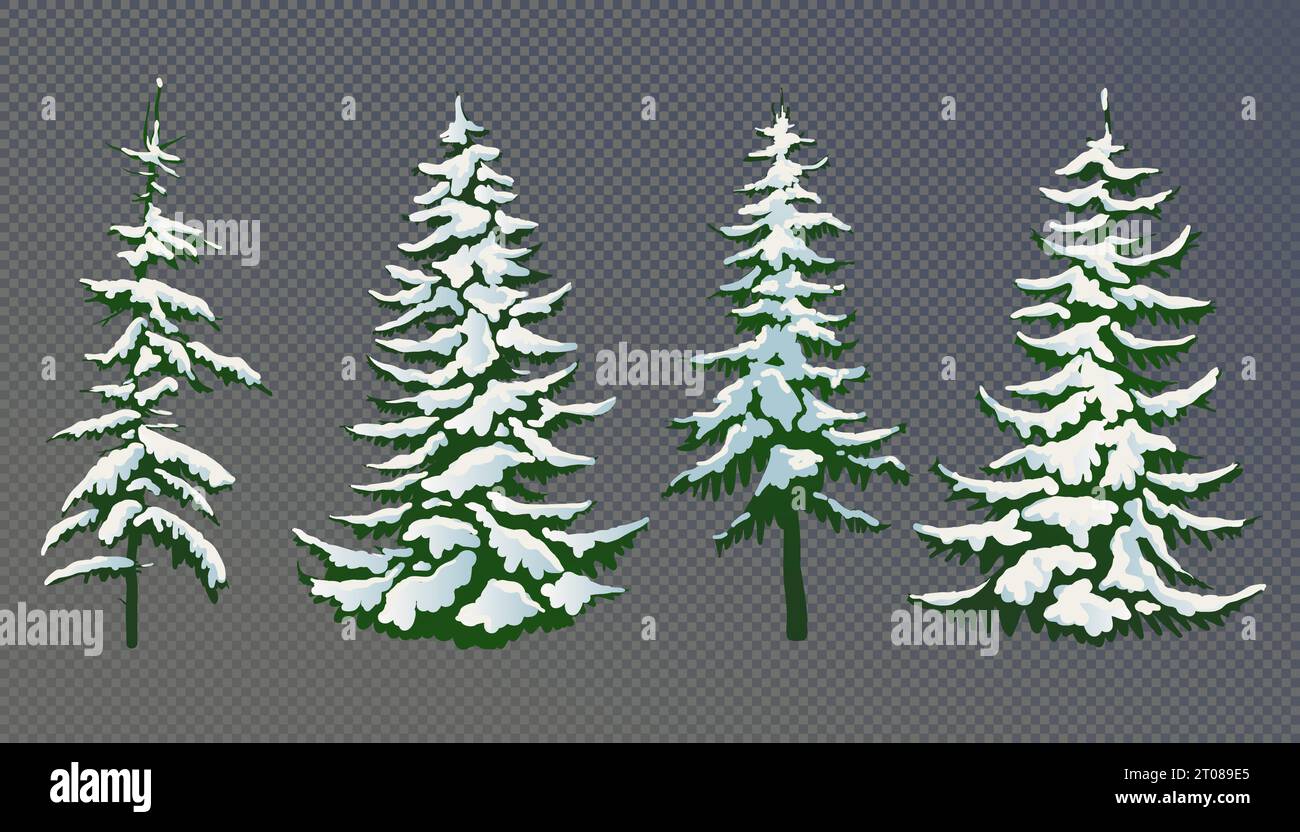 Realistic vector illustration of a spruce tree in the snow on a ...