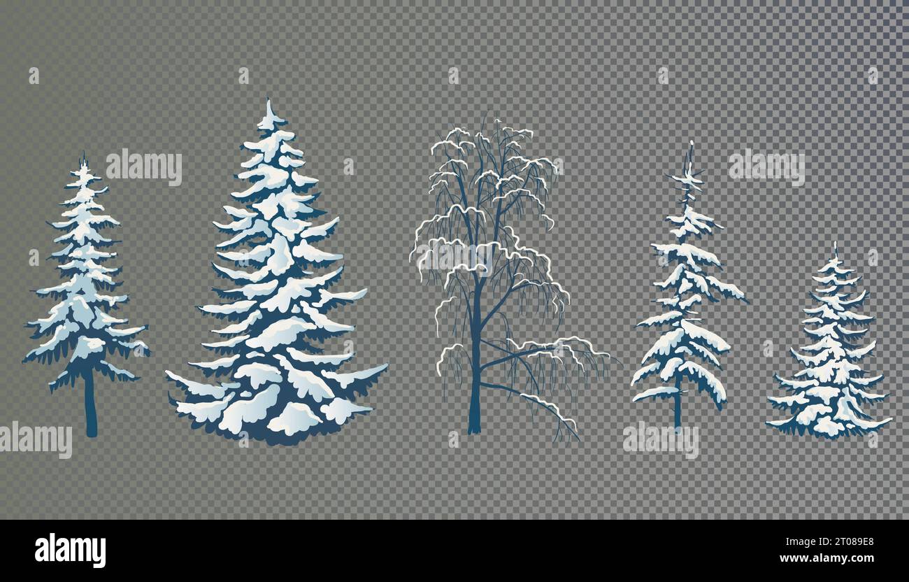 Realistic vector illustration of a spruce tree in the snow on a transparent background. Green ...