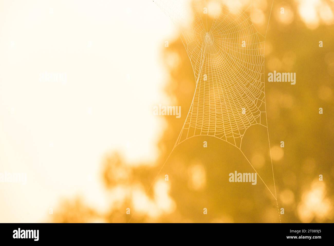 Cobweb empty hi-res stock photography and images - Alamy