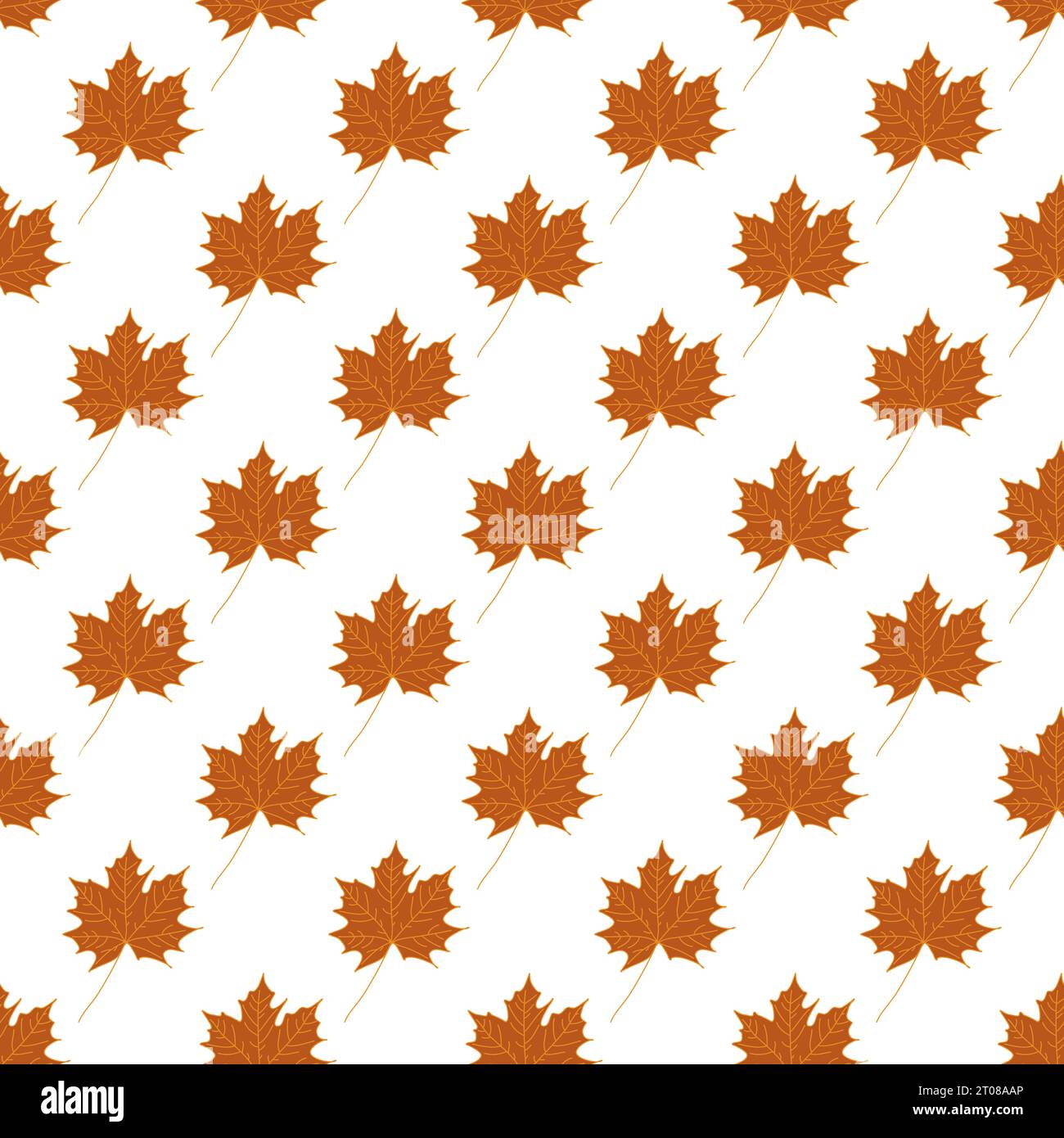 Yellow sugar maple tree leaf Stock Vector Images - Alamy