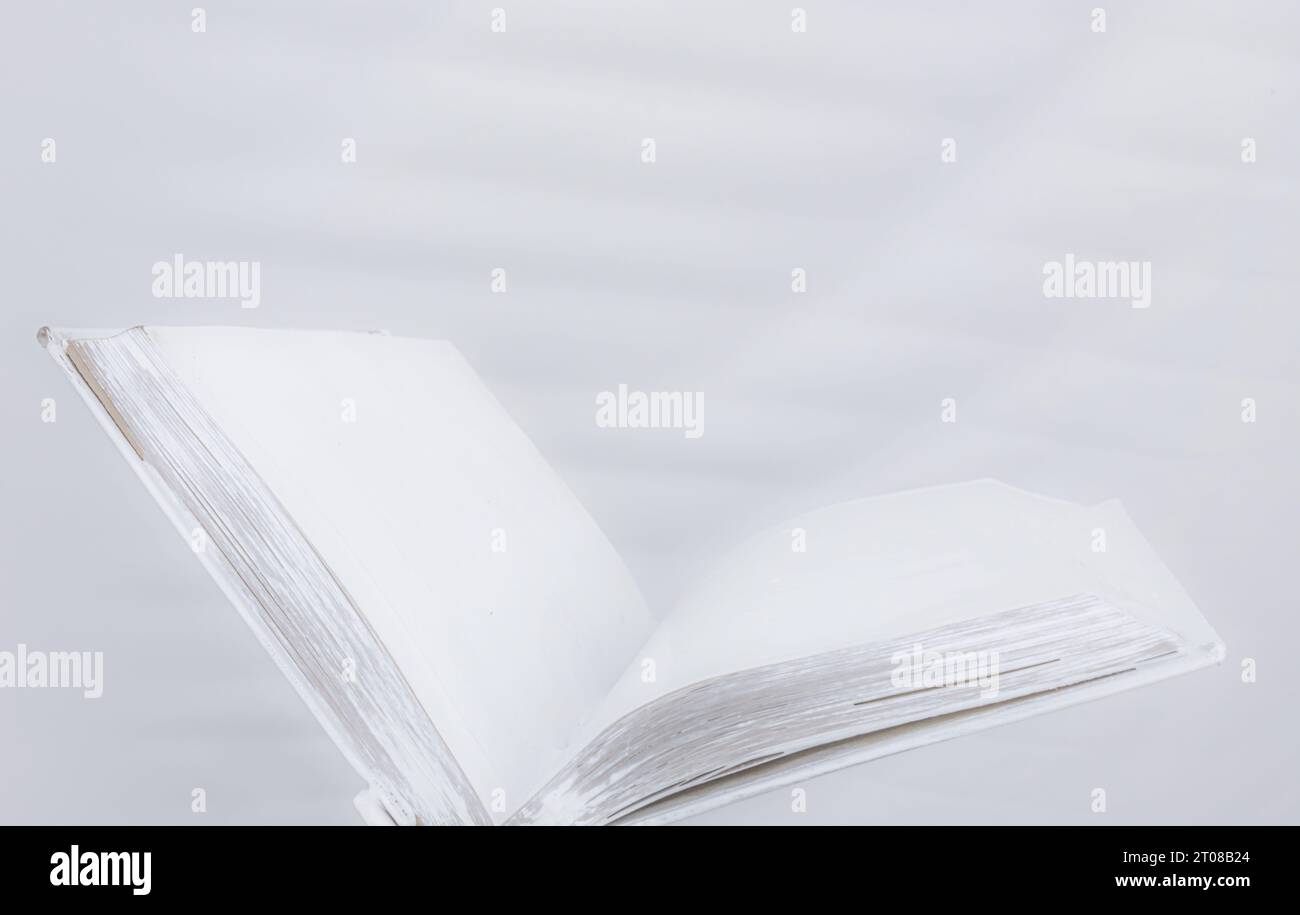 blank white open book on a uniform backgroundblank white open book on a ... blank white open book on a uniform backgroundblank white open book on a ...