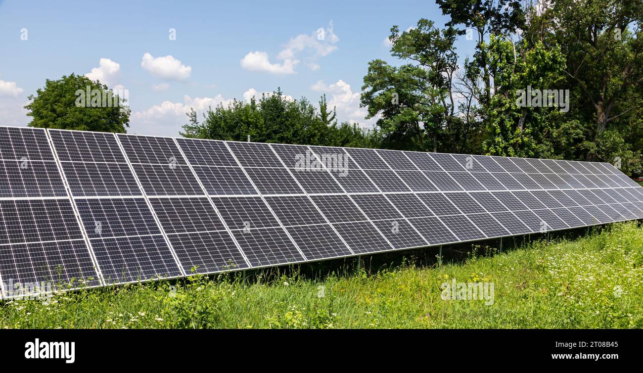 solar panels installed on the ground produce environmentally friendly ...