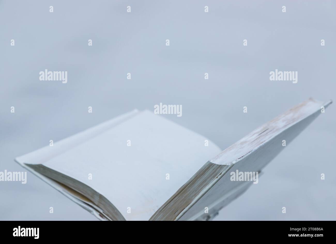 blank white open book on a uniform backgroundblank white open book on a ...