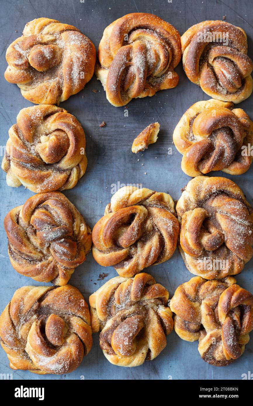 Homemade cinnamon buns on a grey background Stock Photo - Alamy