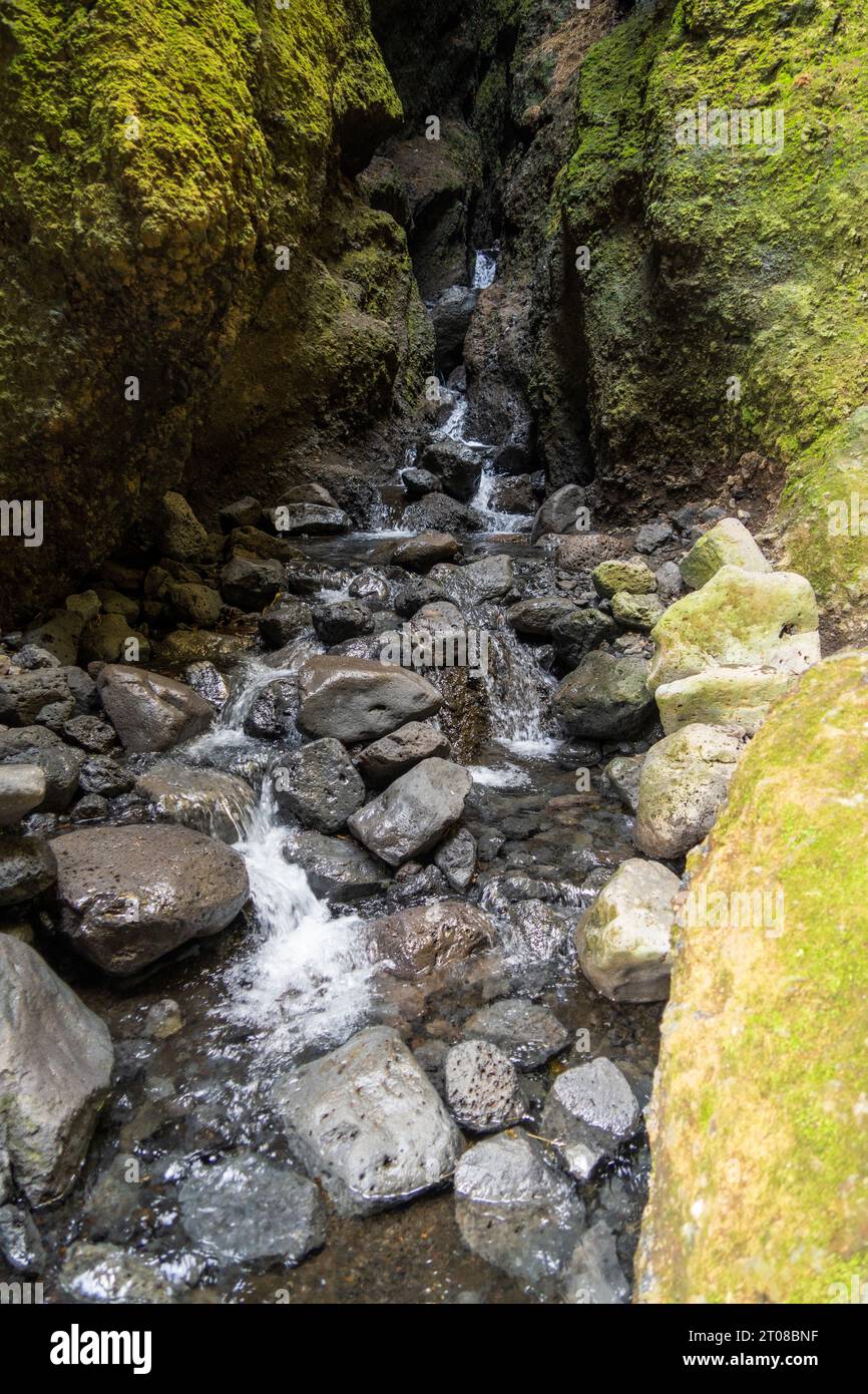 The Rauðfeldsgjá Gorge in Hellnar Iceland Stock Photo - Alamy