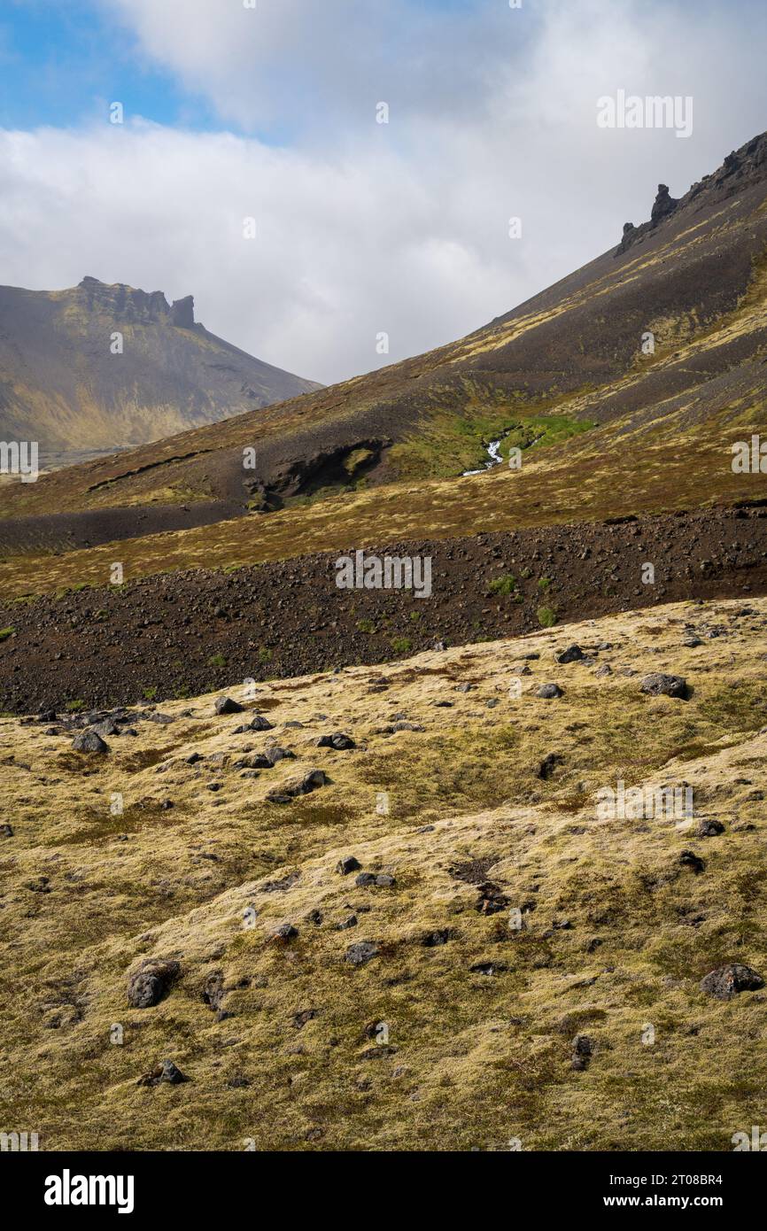 The Rauðfeldsgjá Gorge in Hellnar Iceland Stock Photo - Alamy