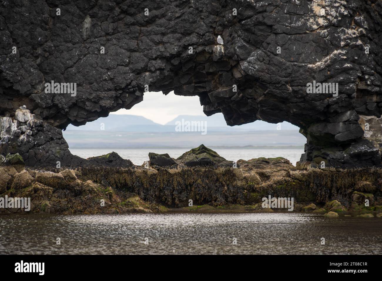 The Hvitserkur Basalt Stack in Northwest Iceland Stock Photo - Alamy