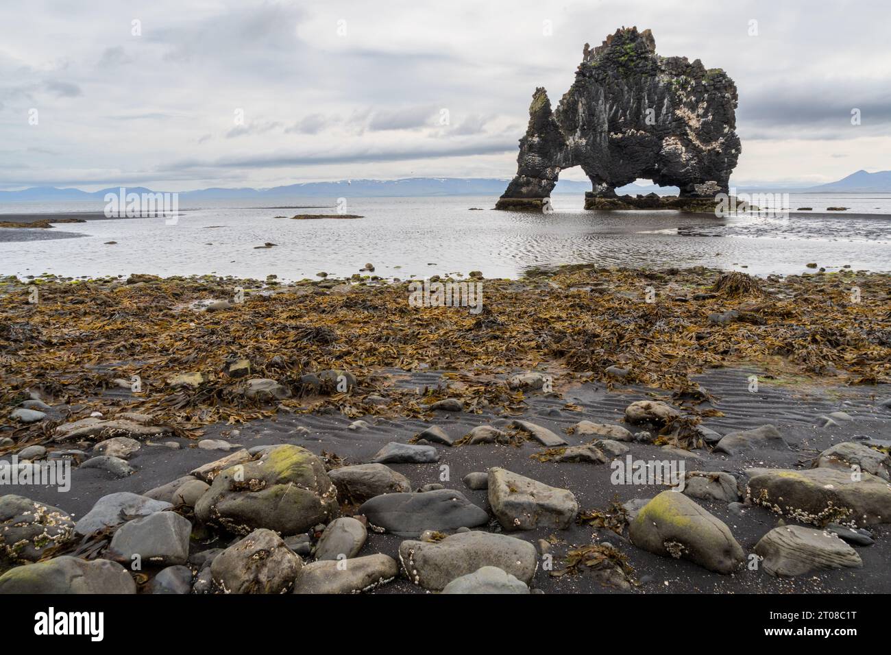The Hvitserkur Basalt Stack in Northwest Iceland Stock Photo - Alamy