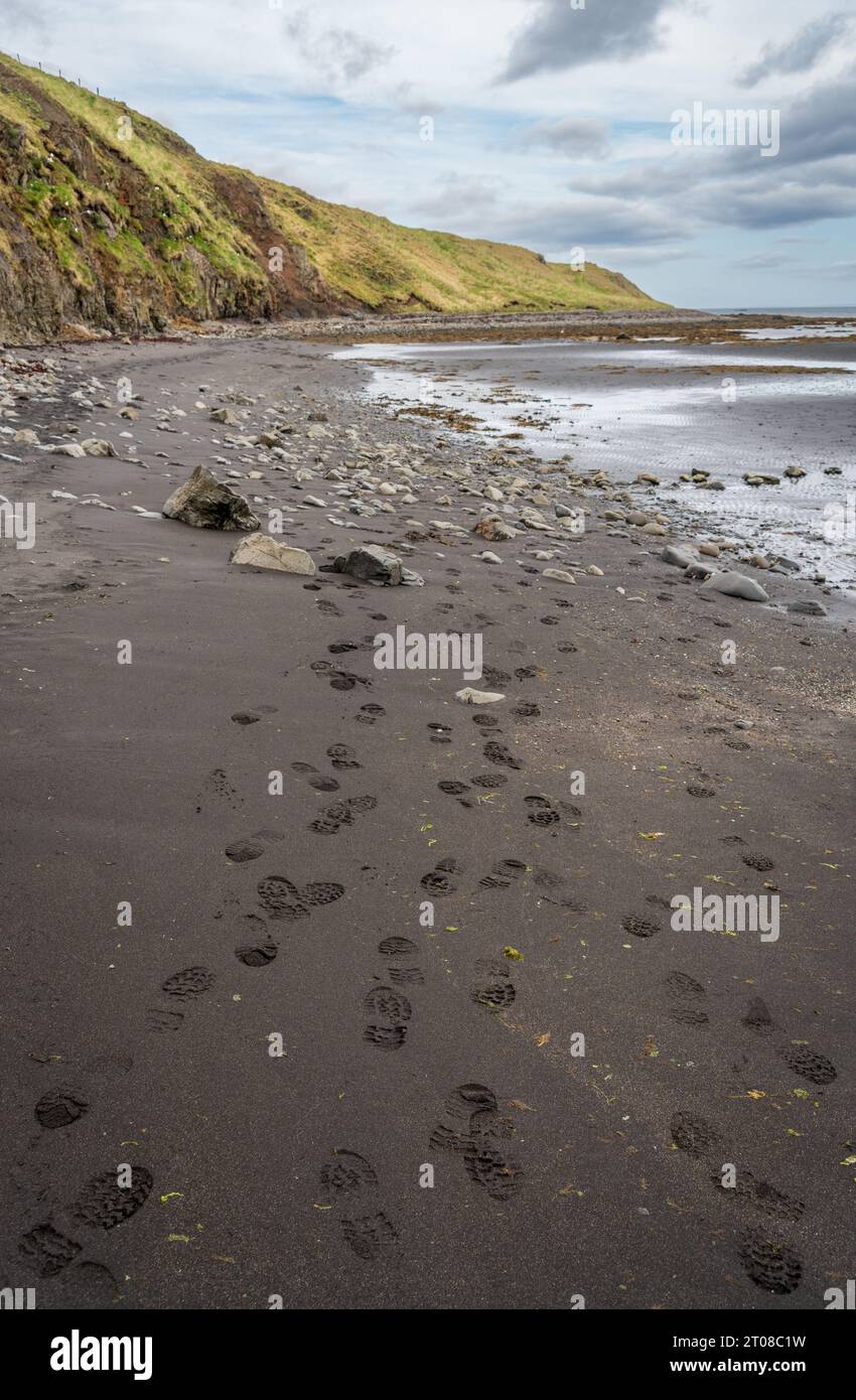 The Hvitserkur Basalt Stack in Northwest Iceland Stock Photo - Alamy