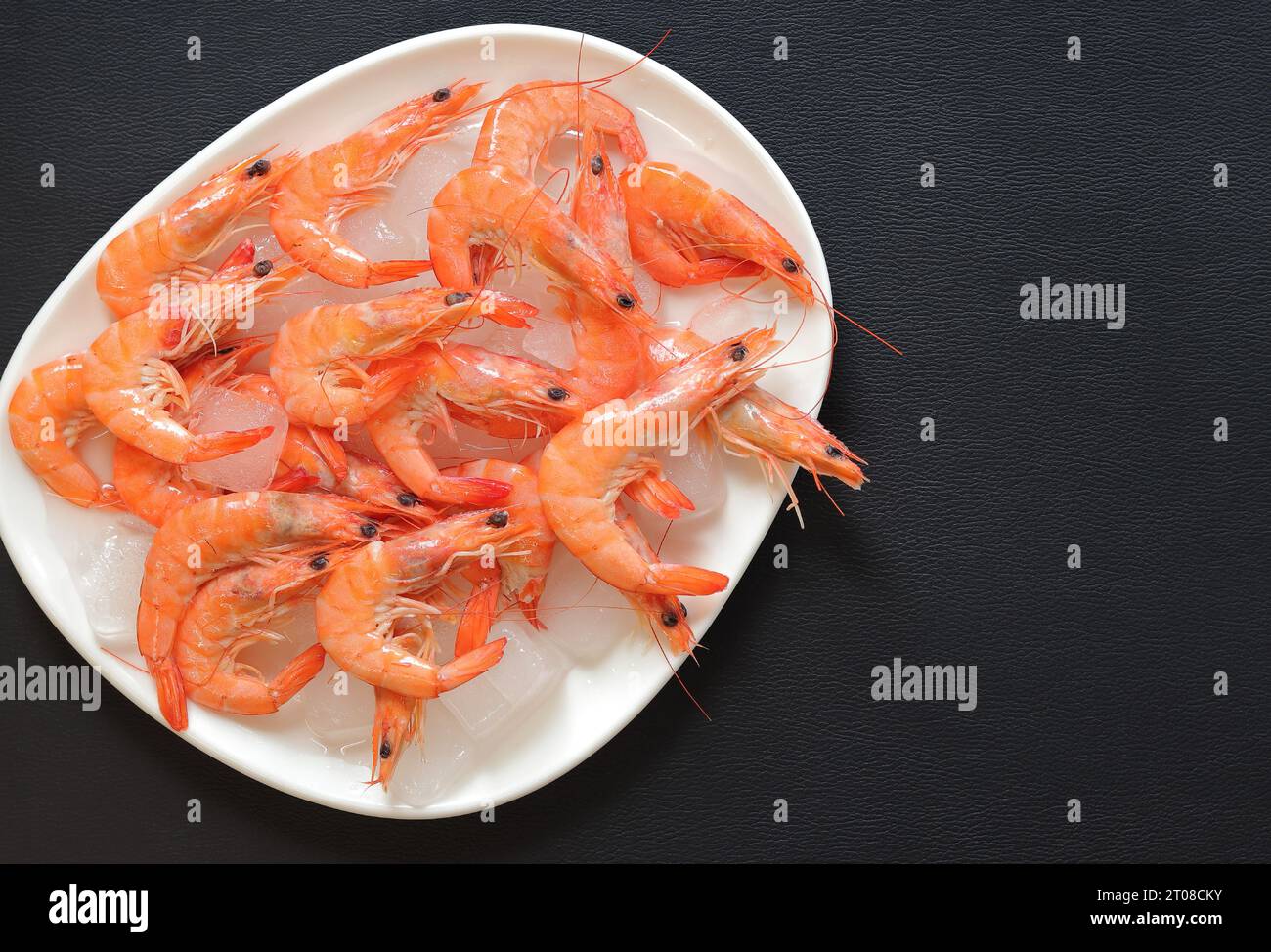 Fresh chilled shrimp in a white plate with ice on a gray background ...