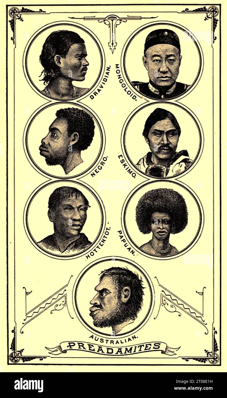 1888 chart showing the origins of man, original races Stock Photo - Alamy