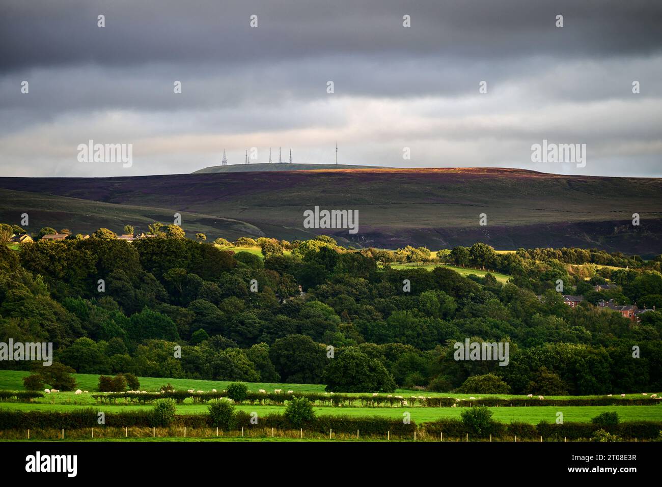 Around the UK - Winter Hill transmitters viewed from 'Top of the Lane ...