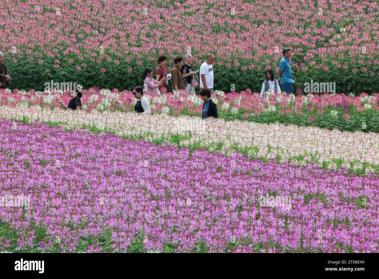 Zhejiang hangzhou yuhang district hi-res stock photography and images ...
