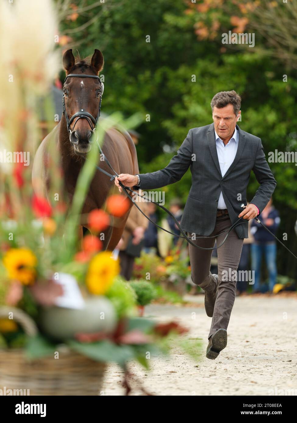Cedric LYARD of France with Song Du Magay during the first horse ...