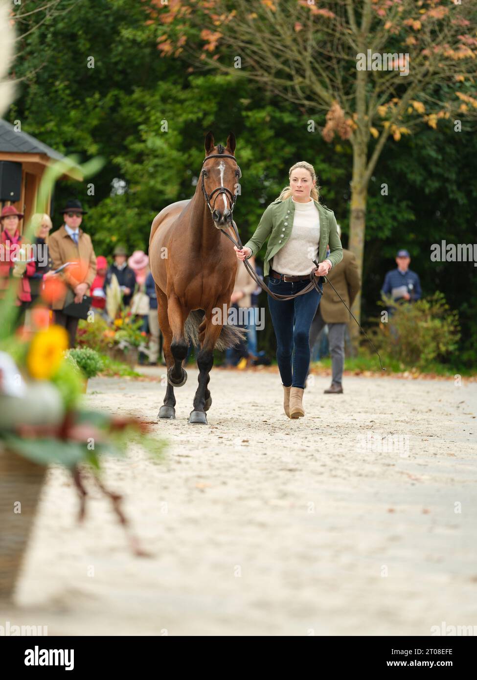 Caroline HARRIS of Great Britain with D. Day during the first horse ...