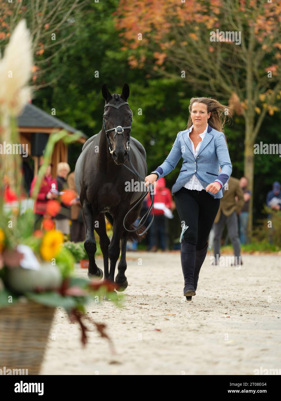 Katie PRESTON of Great Britain with Templar Juno during the first horse ...