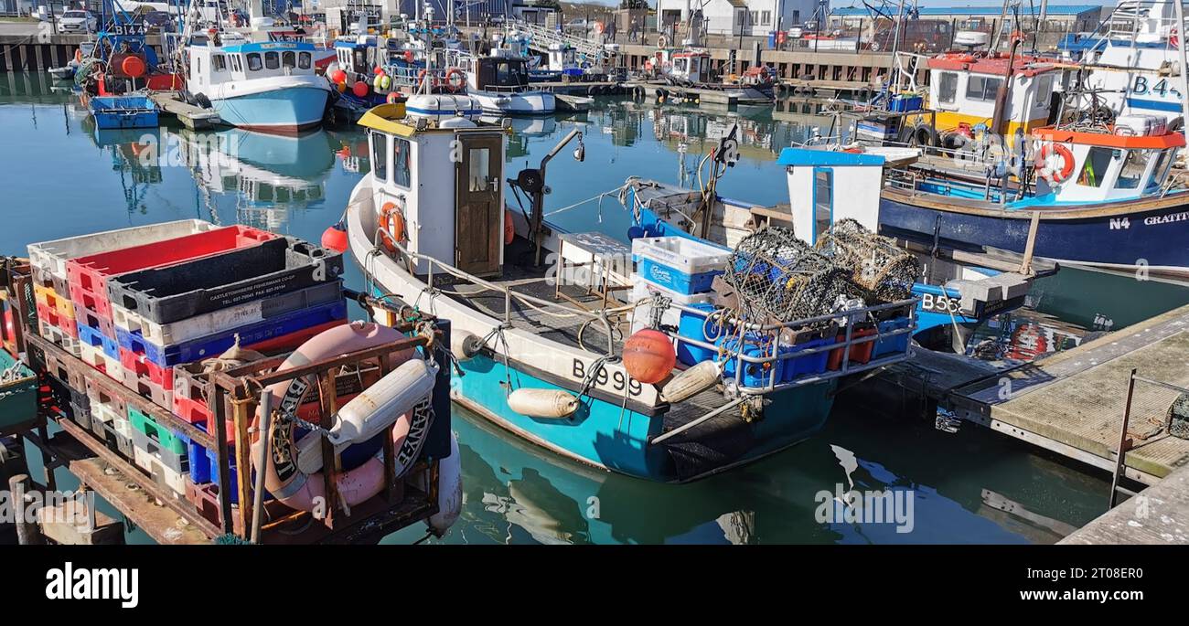 A scenic view of a harbor area featuring several colorful fishing boats ...