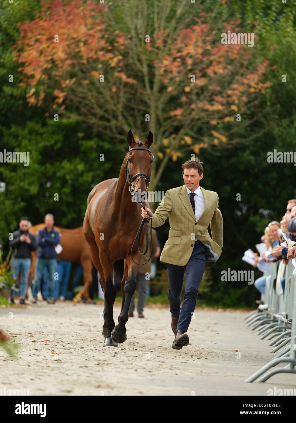 Sam WATSON of Ireland with Ballyneety Rocketman during the first horse ...