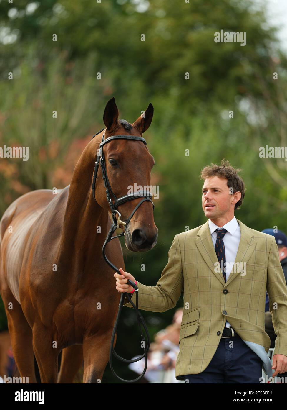 Sam WATSON of Ireland with Ballyneety Rocketman during the first horse ...