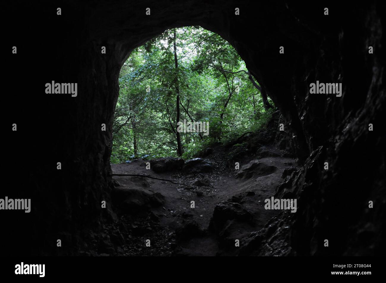 Hidden remote cave entrance in the forest from inside Stock Photo - Alamy