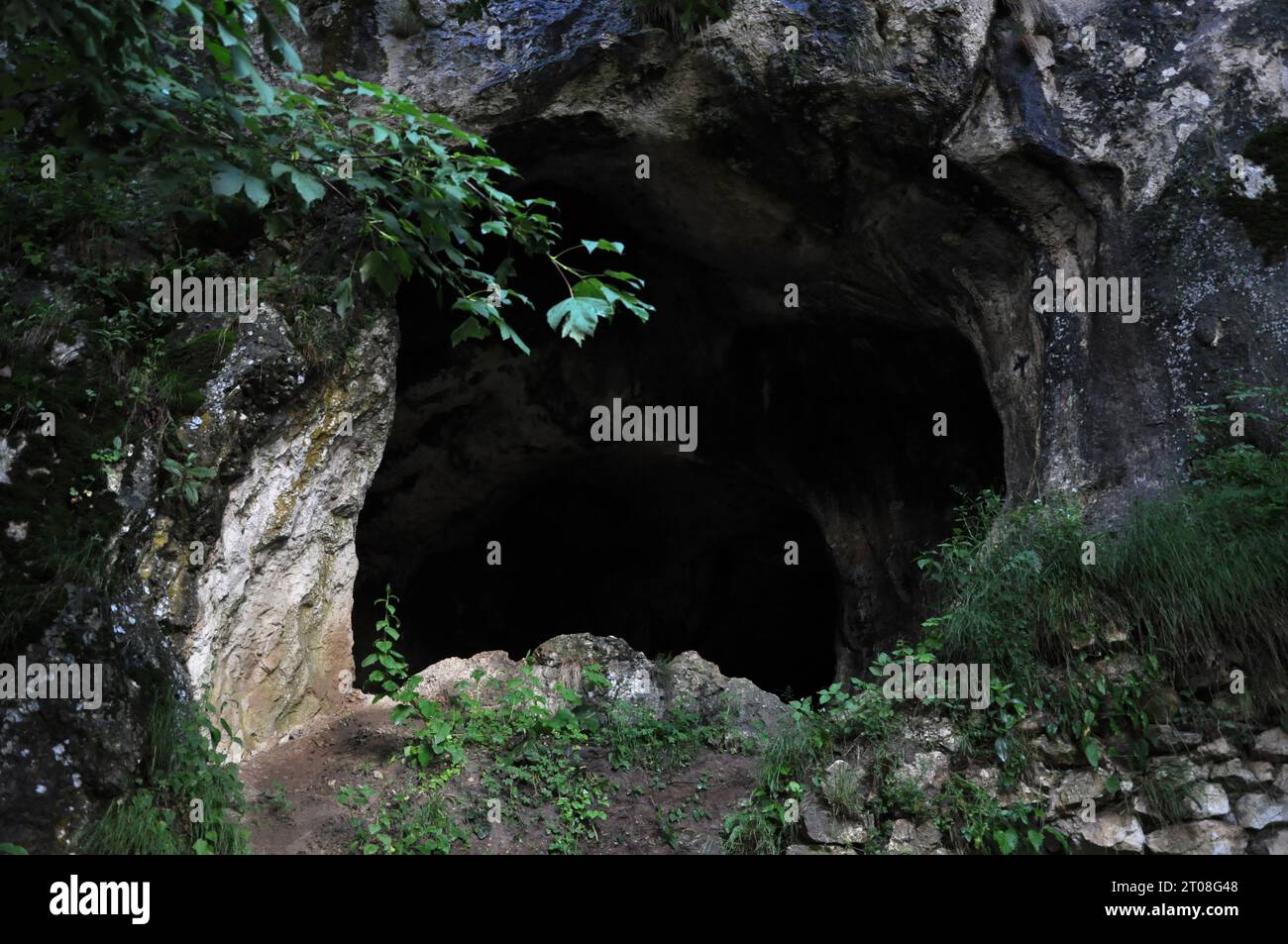 Hidden remote cave entrance in the forest Stock Photo - Alamy