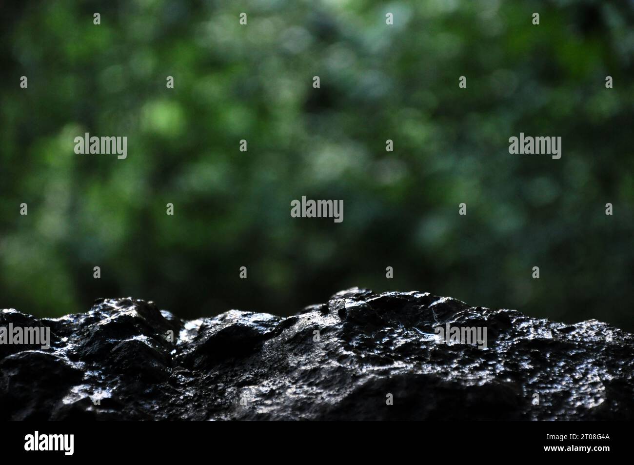 Wet limestone rock with blurry forest background in a rainy day Stock ...