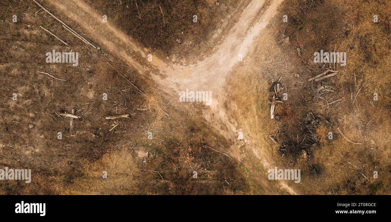 Forest Deforestation Area Landscape. Concept Of Save Nature ...