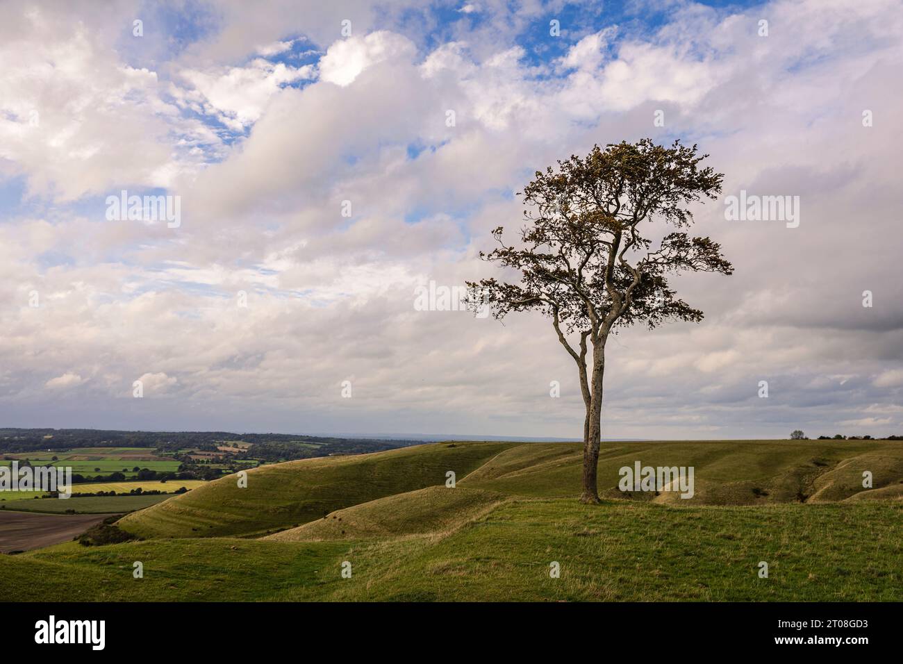 Roundway hill devizes hi-res stock photography and images - Alamy