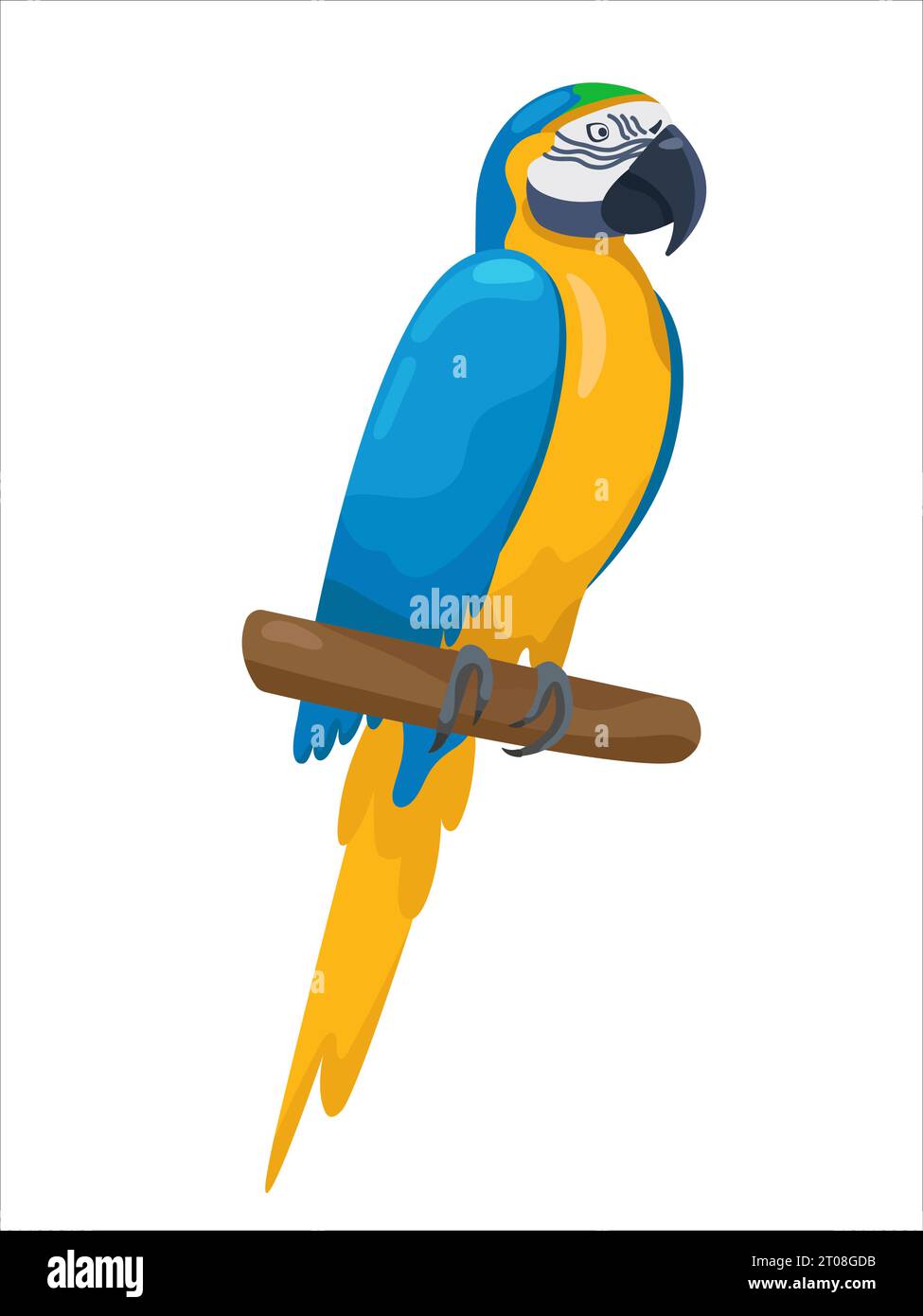 Bright macaw. Cartoon funny ara parrot sitting on a branch. Flat ...