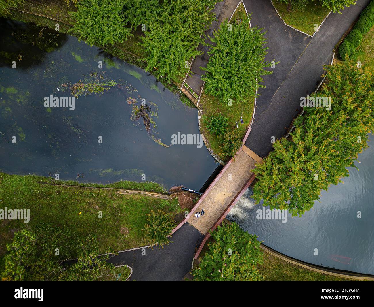 A top view of a reflective pond in a luscious green park on Long Island ...