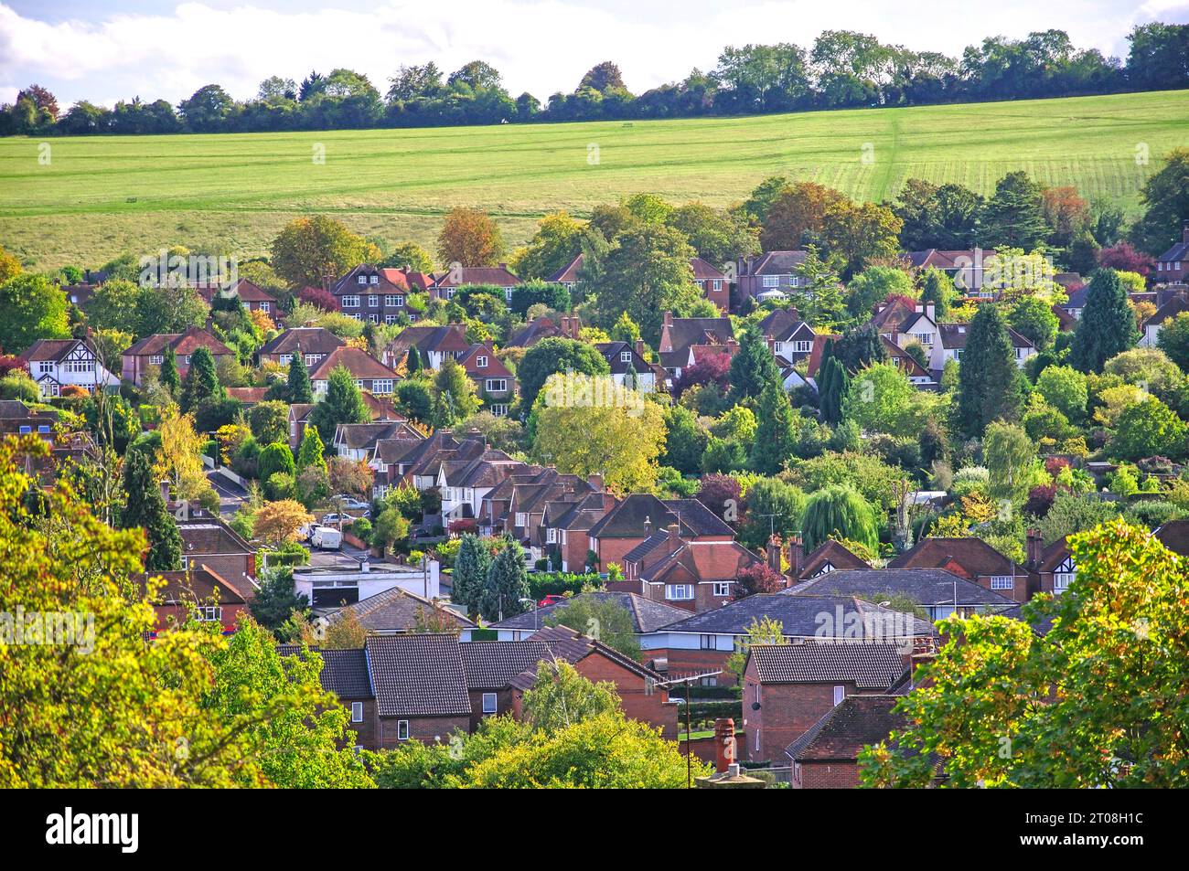 Suburb with trees hi-res stock photography and images - Alamy
