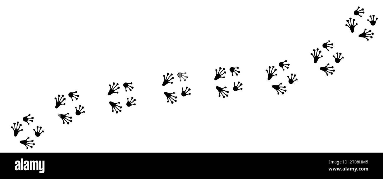 Path footprints of Frog or Toad. Tracks of paw prints. Silhouette ...