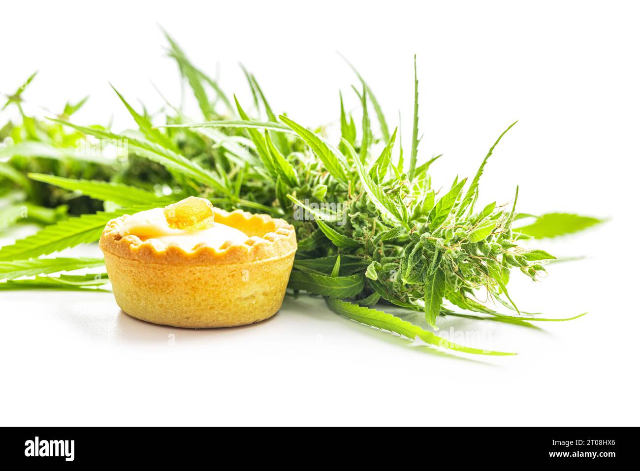 Marijuana bud flowers of cannabis and sweet dessert isolated on the ...