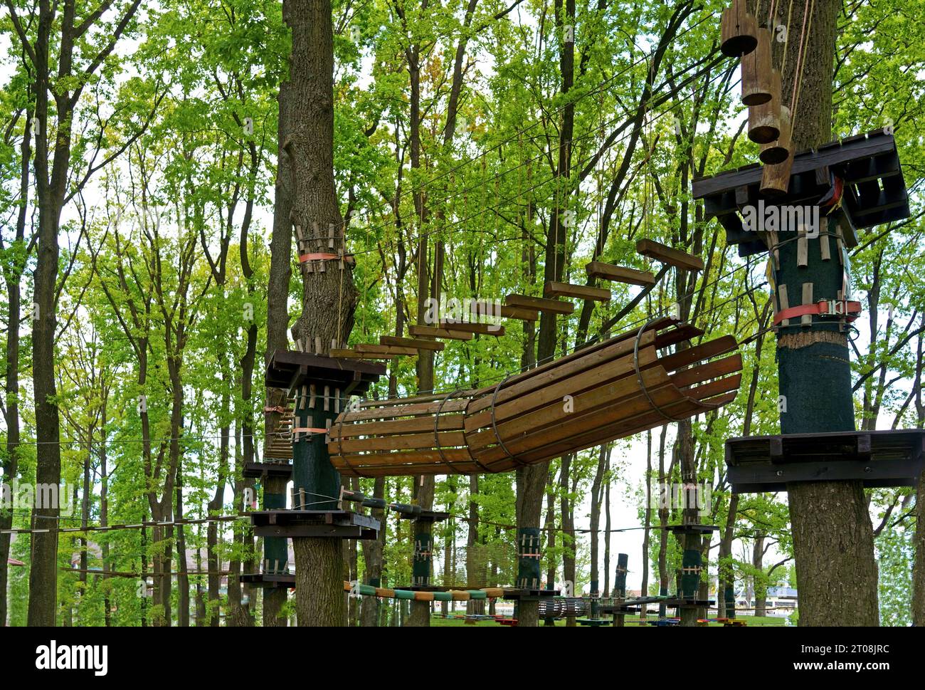 Adventure climbing on high wired park. Course of high ropes in forest ...