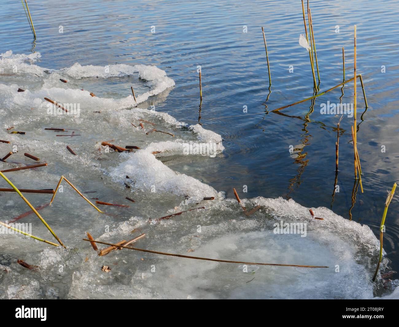 A section of the coast with non-melting ice in spring Stock Photo - Alamy