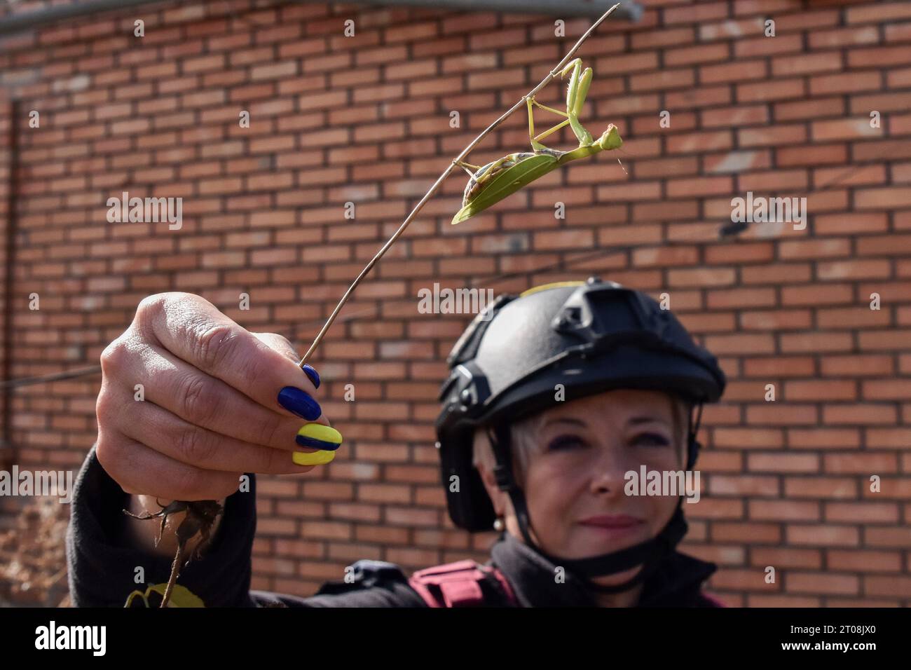 Orikhiv, Ukraine. 03rd Oct, 2023. A rescuer is showing a mantis in ...