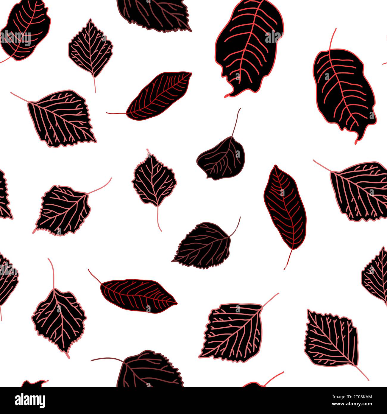 Ash tree botanical drawing Stock Vector Images - Alamy