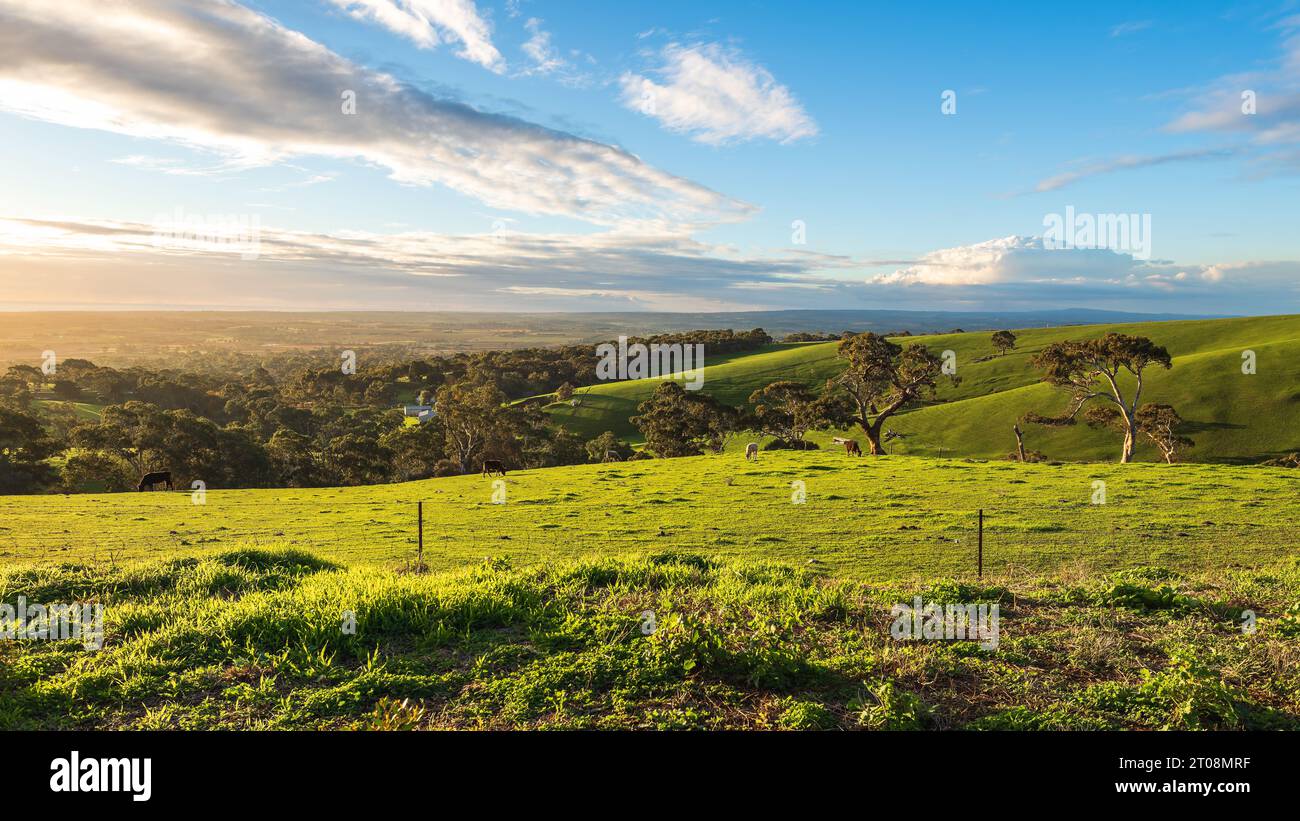 Willunga hill south australia hi-res stock photography and images - Alamy