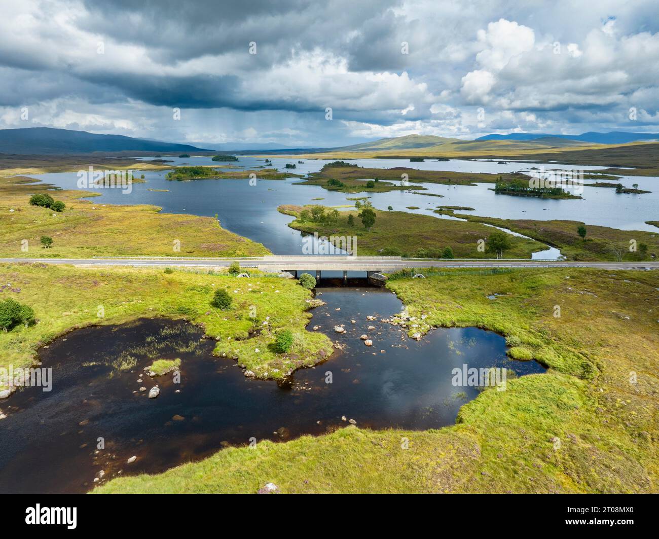 Swamp road hi-res stock photography and images - Alamy